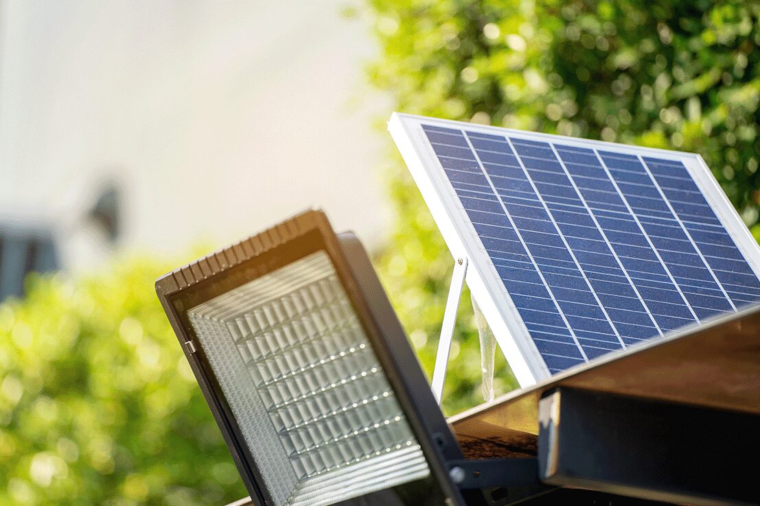 Summer Sustainability: Top Tips for a Greener Summer - PHS